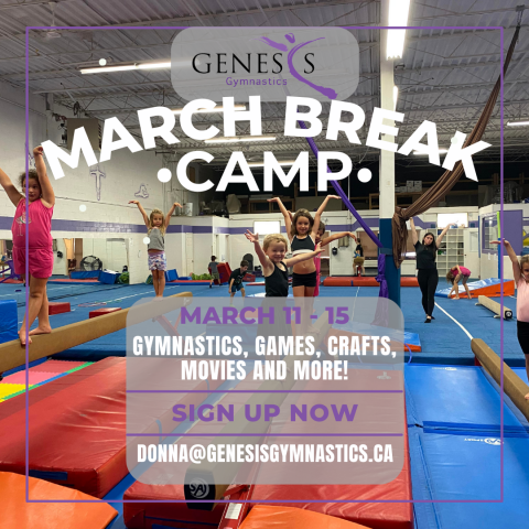 Camps | Genesis Gymnastics